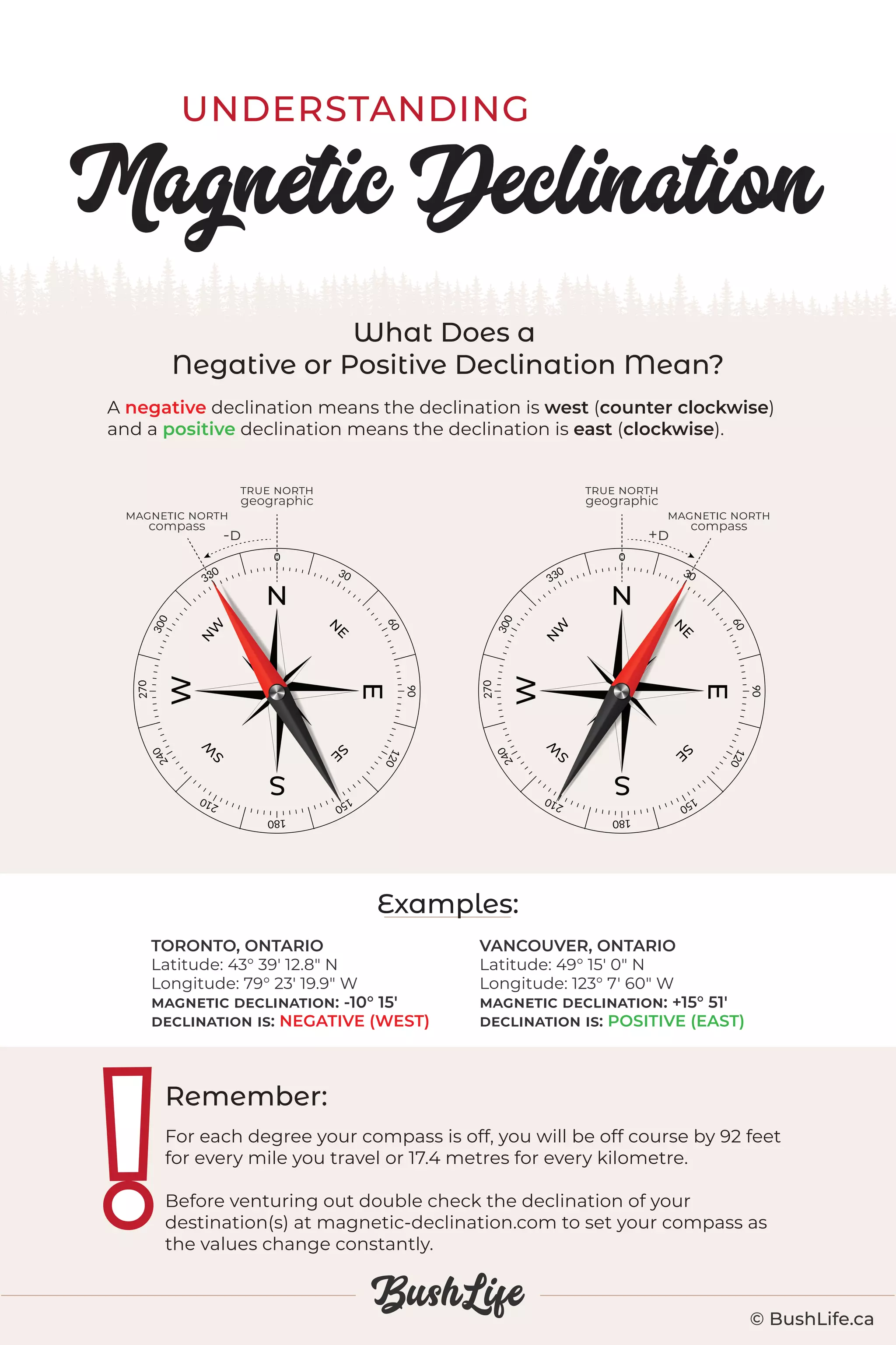 Understanding Magnetic Declination Infograph | PDF | Geography | Science