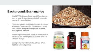 Bush mango use and trade in Cameroon - sustainability, equity and ...