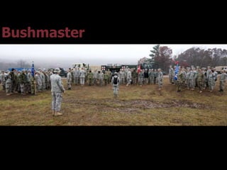 Bushmaster | PPTX