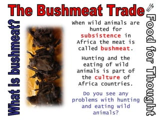 Bushmeat | PPT