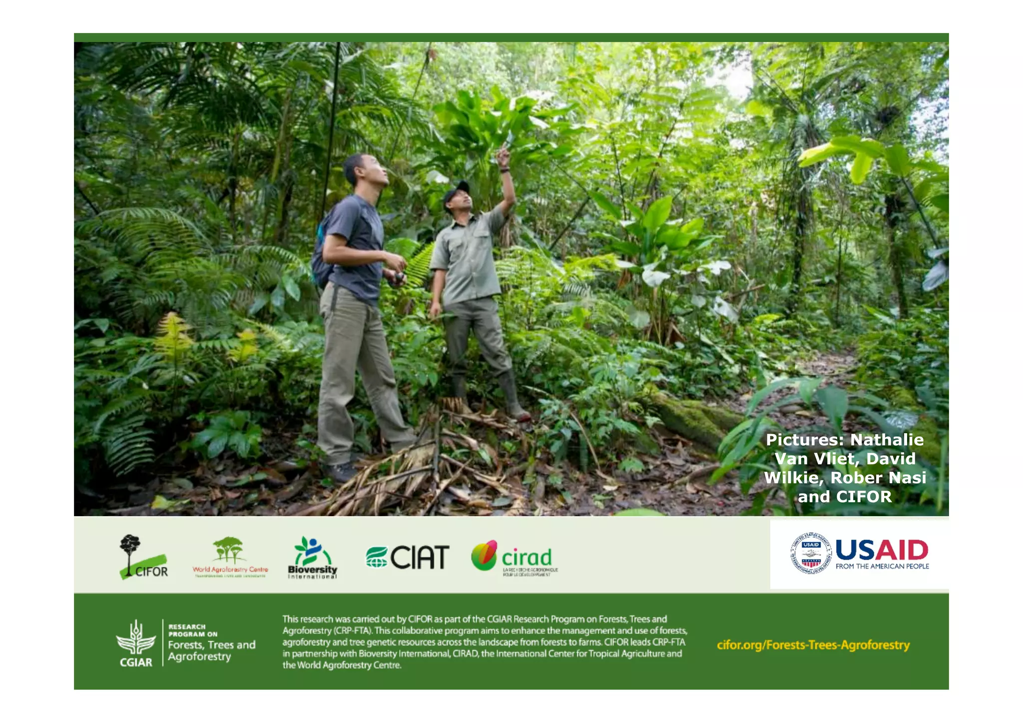 Conservation and utilization of wildlife in the Congo Basin: How to ...