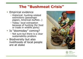 Conservation and utilization of wildlife in the Congo Basin: How to ...