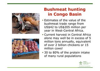 Conservation and utilization of wildlife in the Congo Basin: How to ...