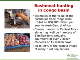 Conservation and utilization of wildlife in the Congo Basin: How to ...