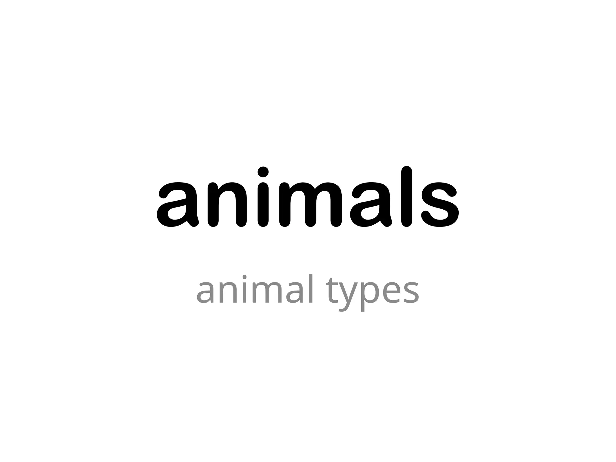 animal presentation powerpoint grade 1 . | PPTX