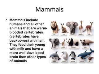 animal presentation powerpoint grade 1 . | PPTX