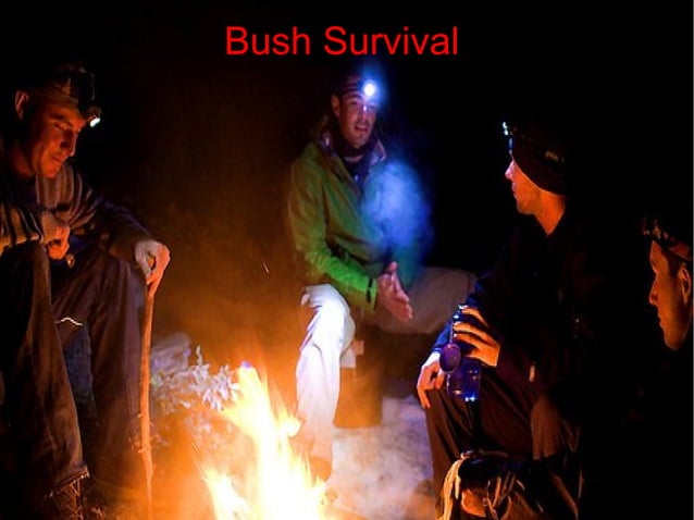 Bush Survival | PPT