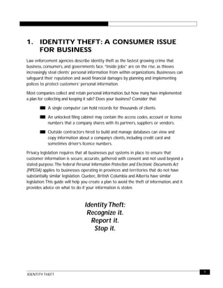 Business Identity Theft Kit | PDF