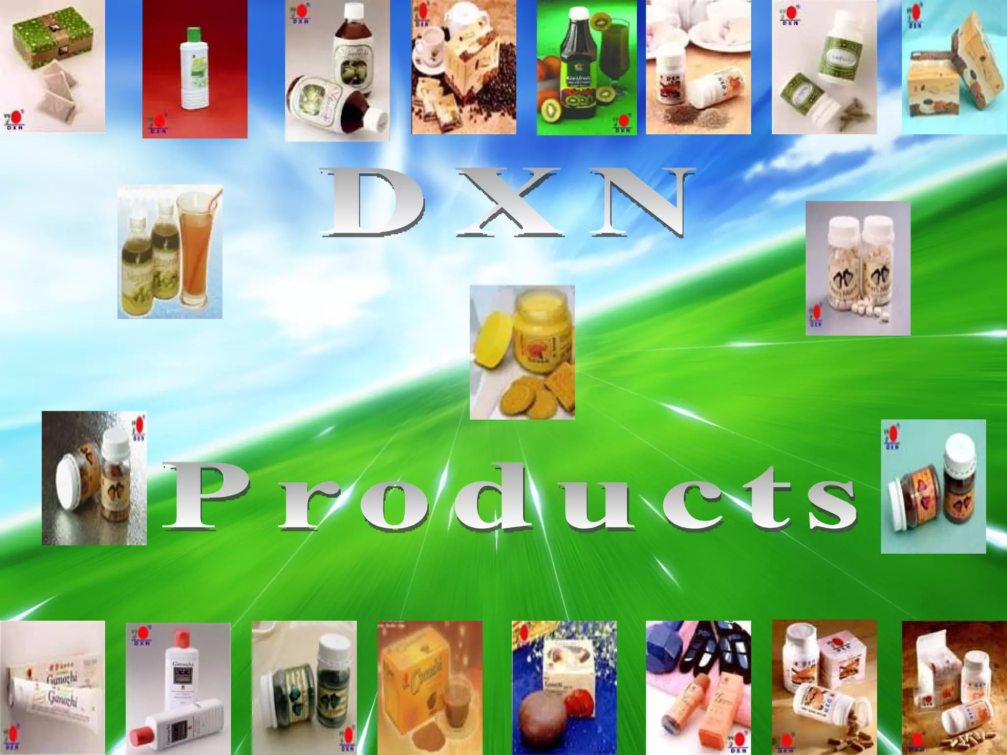 DXN Business | PPT