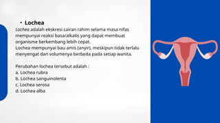 businessssssssssszsvhssshijmjjlmgsas.pptx | Free Download