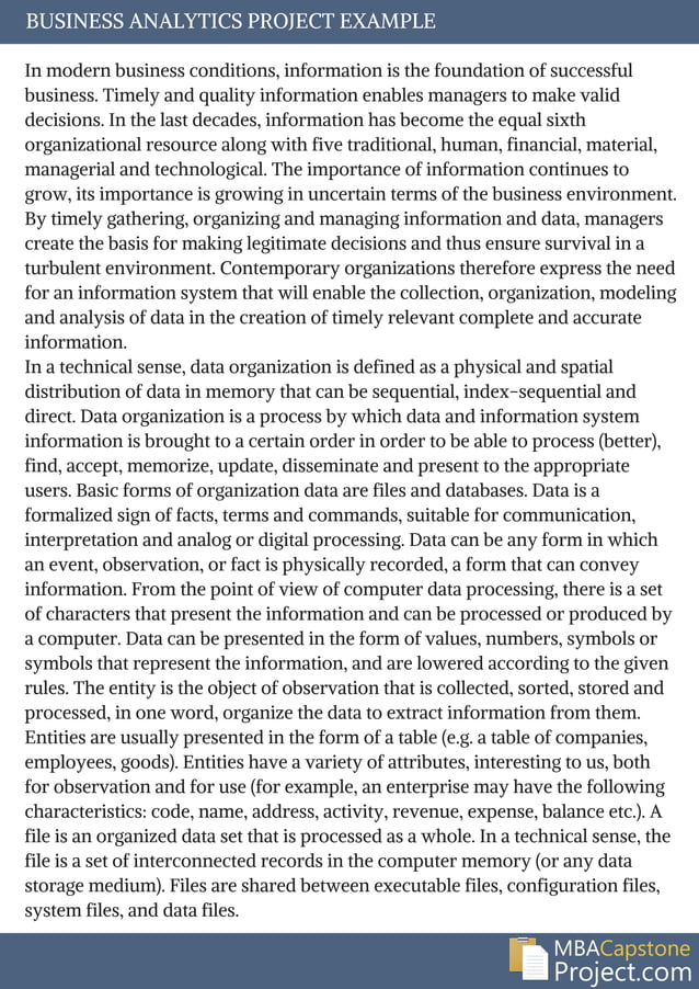 Business Analytics Project Example | PDF