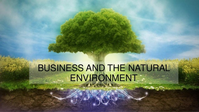 BIZ - Business and Environment