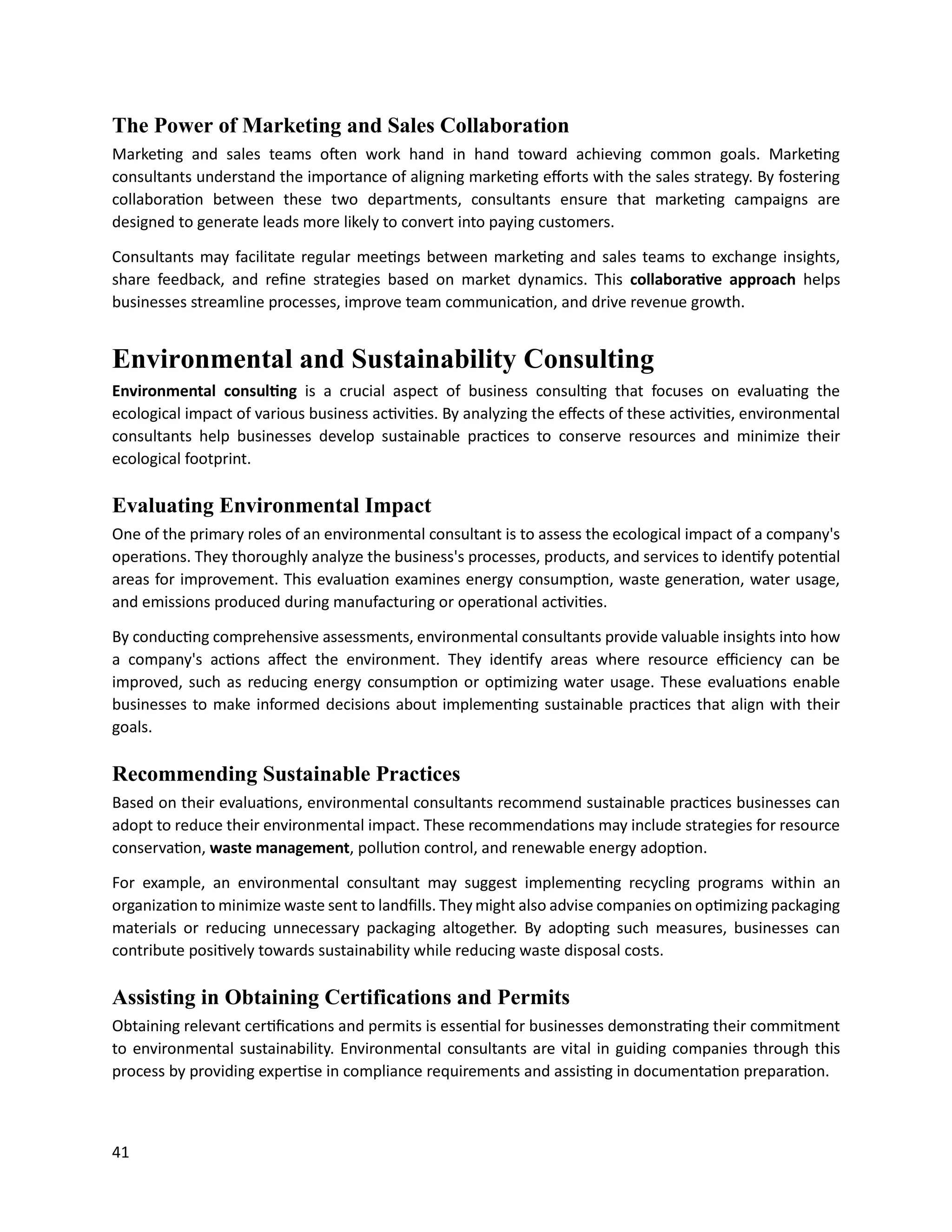 Business-Consulting.pdf