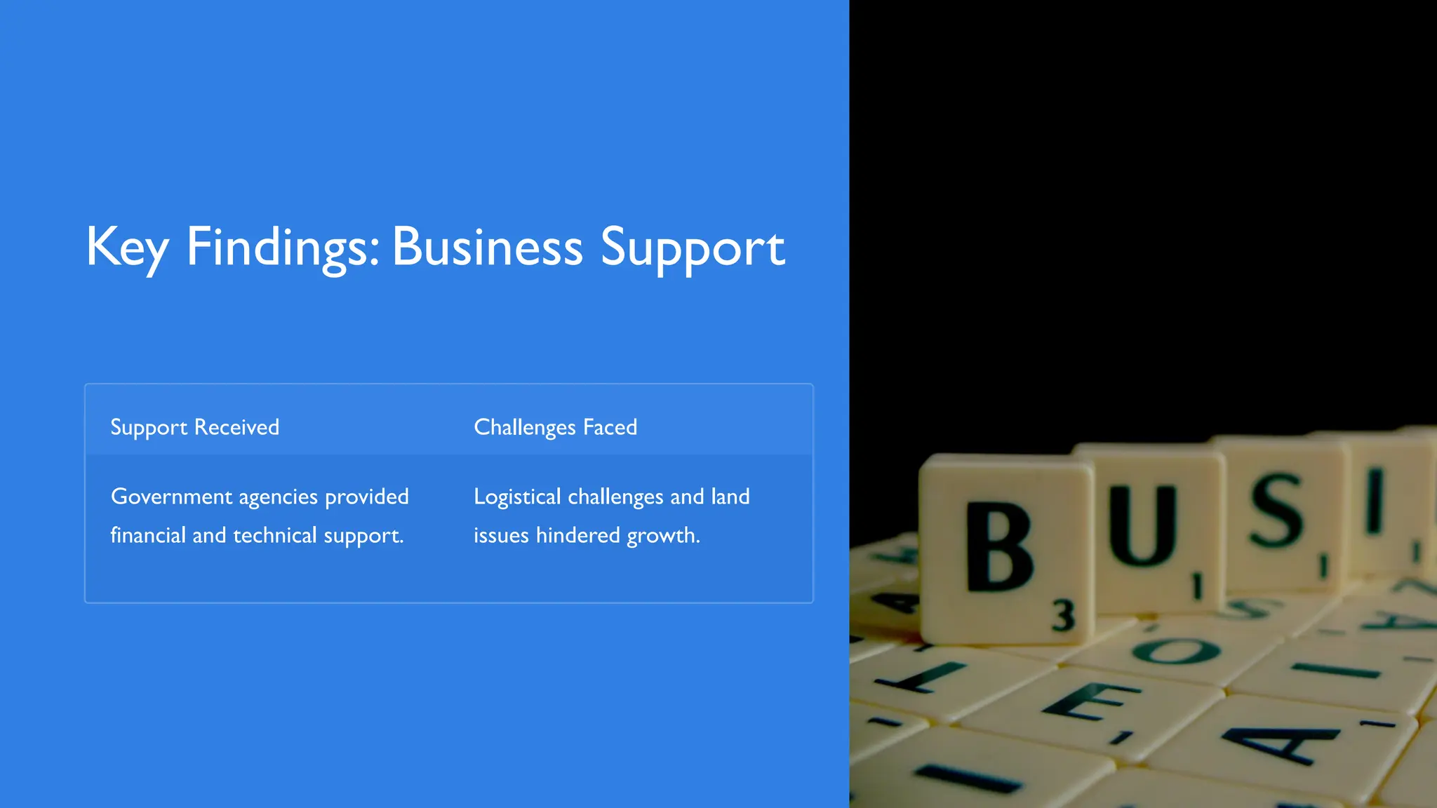 Business-Diagnosis-Overview and Key Findings.pptx