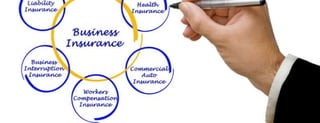Business Insurance | PDF