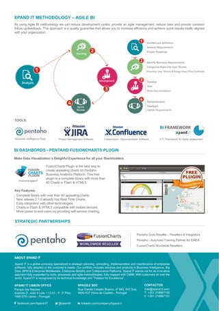 Business Intelligence Datasheet | PDF