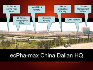 Easy Pha-max Business Presentation | PDF