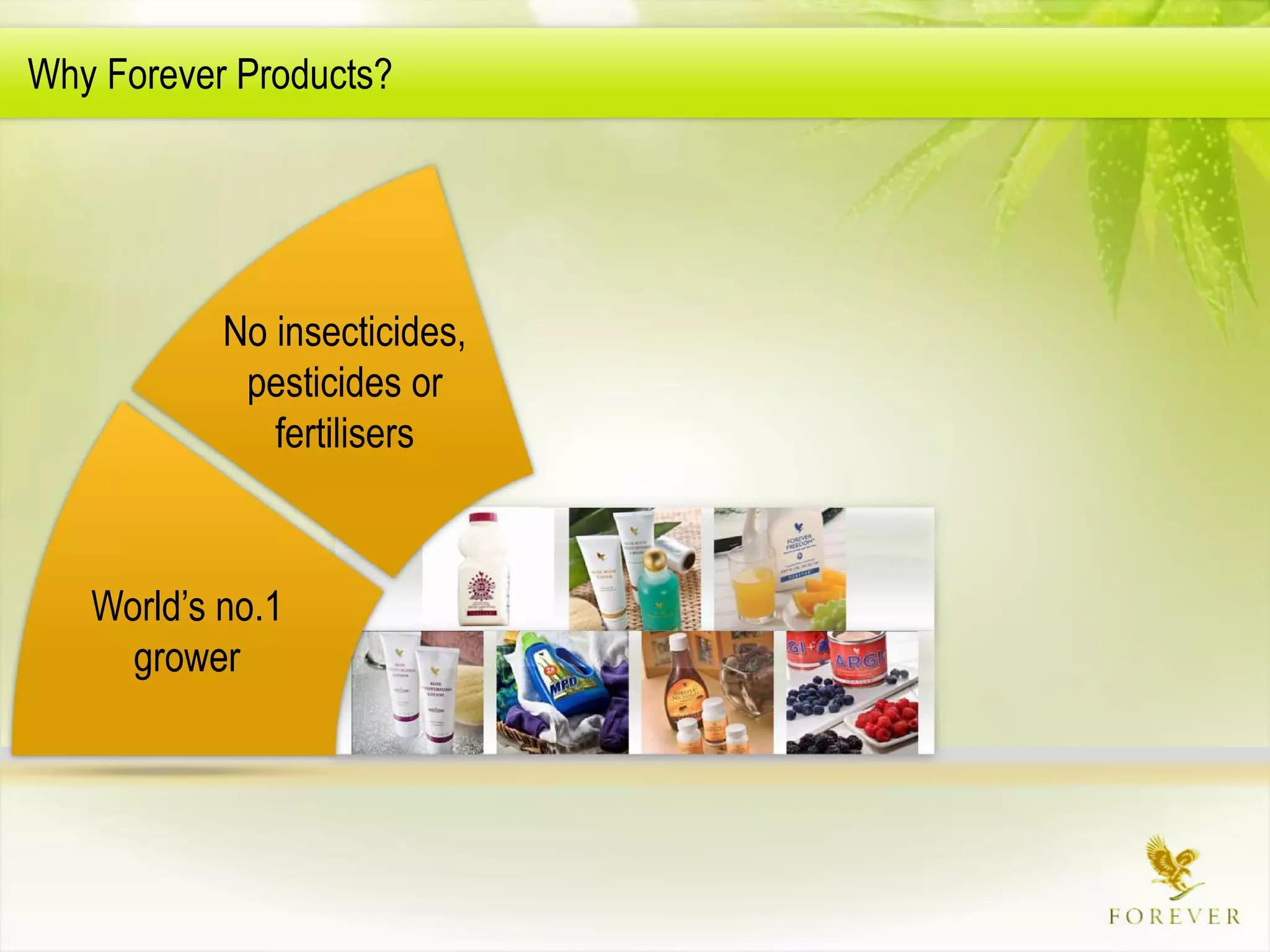 Forever Living business presentation | PDF