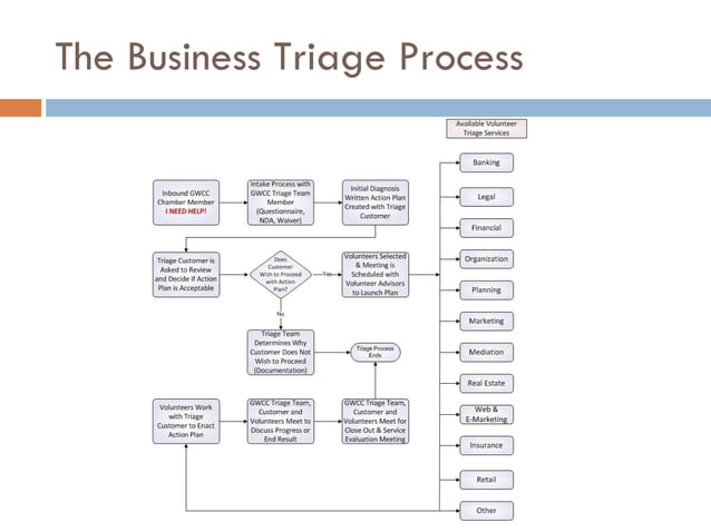 Business Triage Program And Process Overview 032610 | PPT | Business ...
