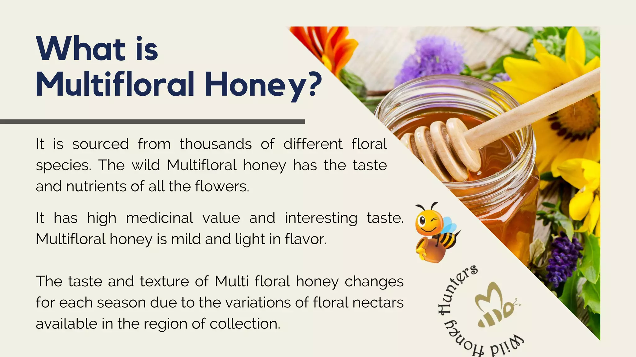 Multifloral honey-Wild honey hunters.pptx