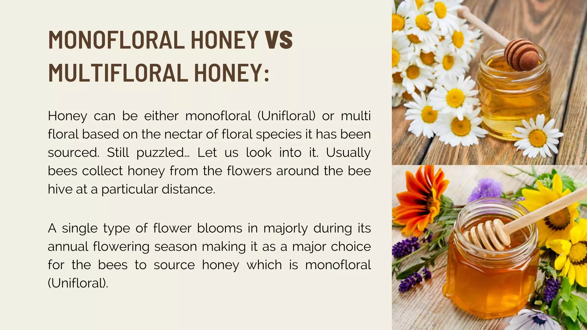 Multifloral honey-Wild honey hunters.pptx