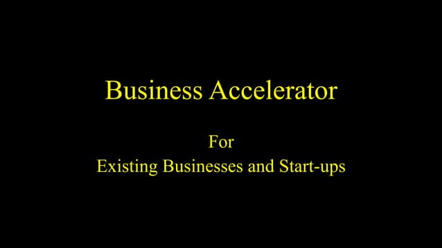 Business Accelerator.pptx
