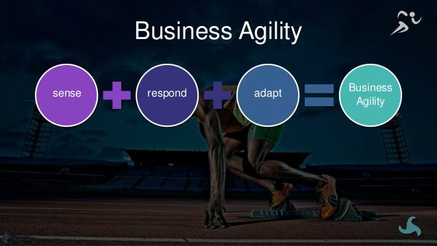 Business Agility 2017 (final)