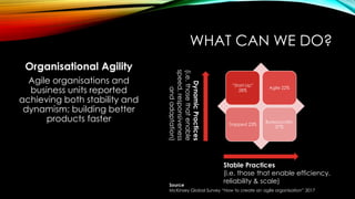 Organisational Agility | PDF