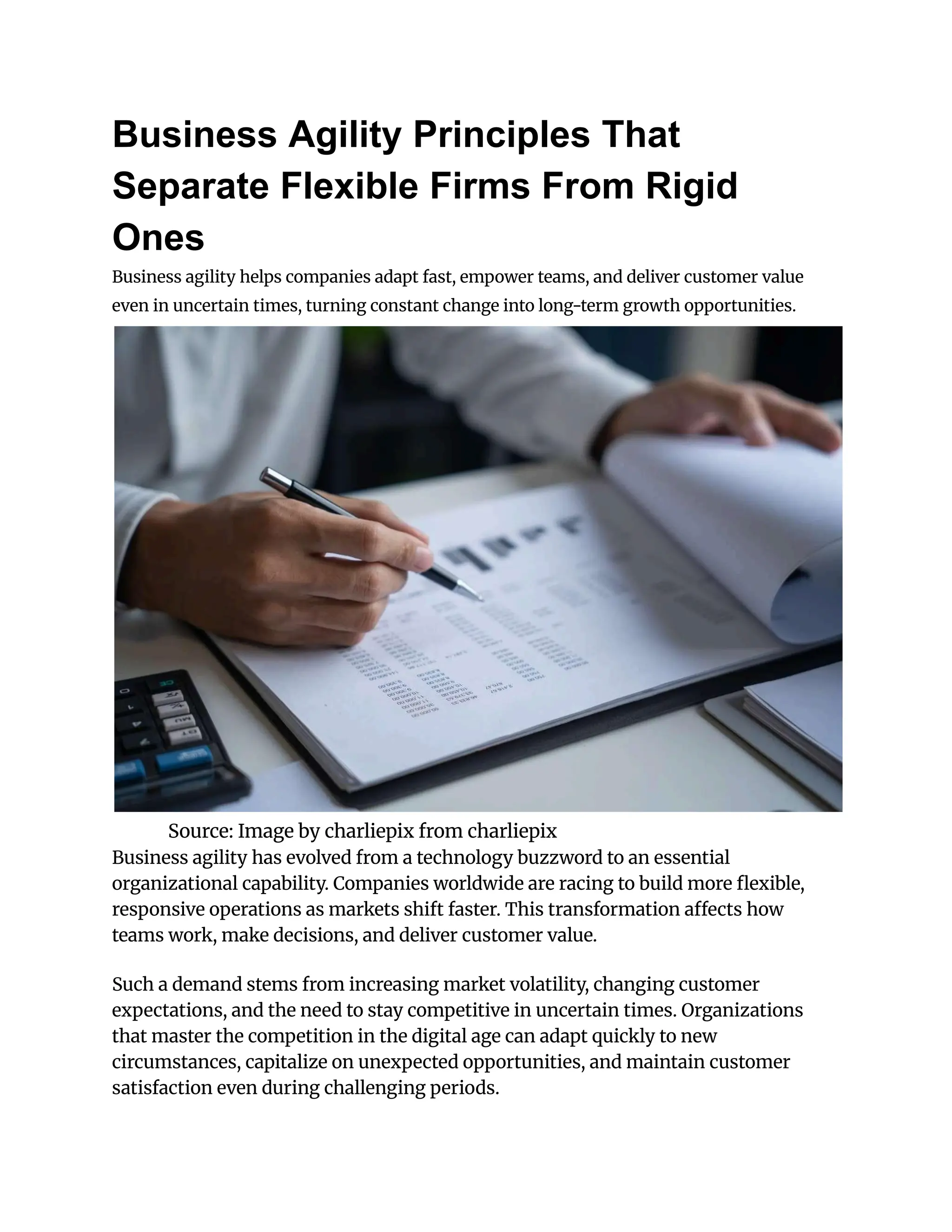 Business Agility Principles That Separate Flexible Firms From Rigid ...