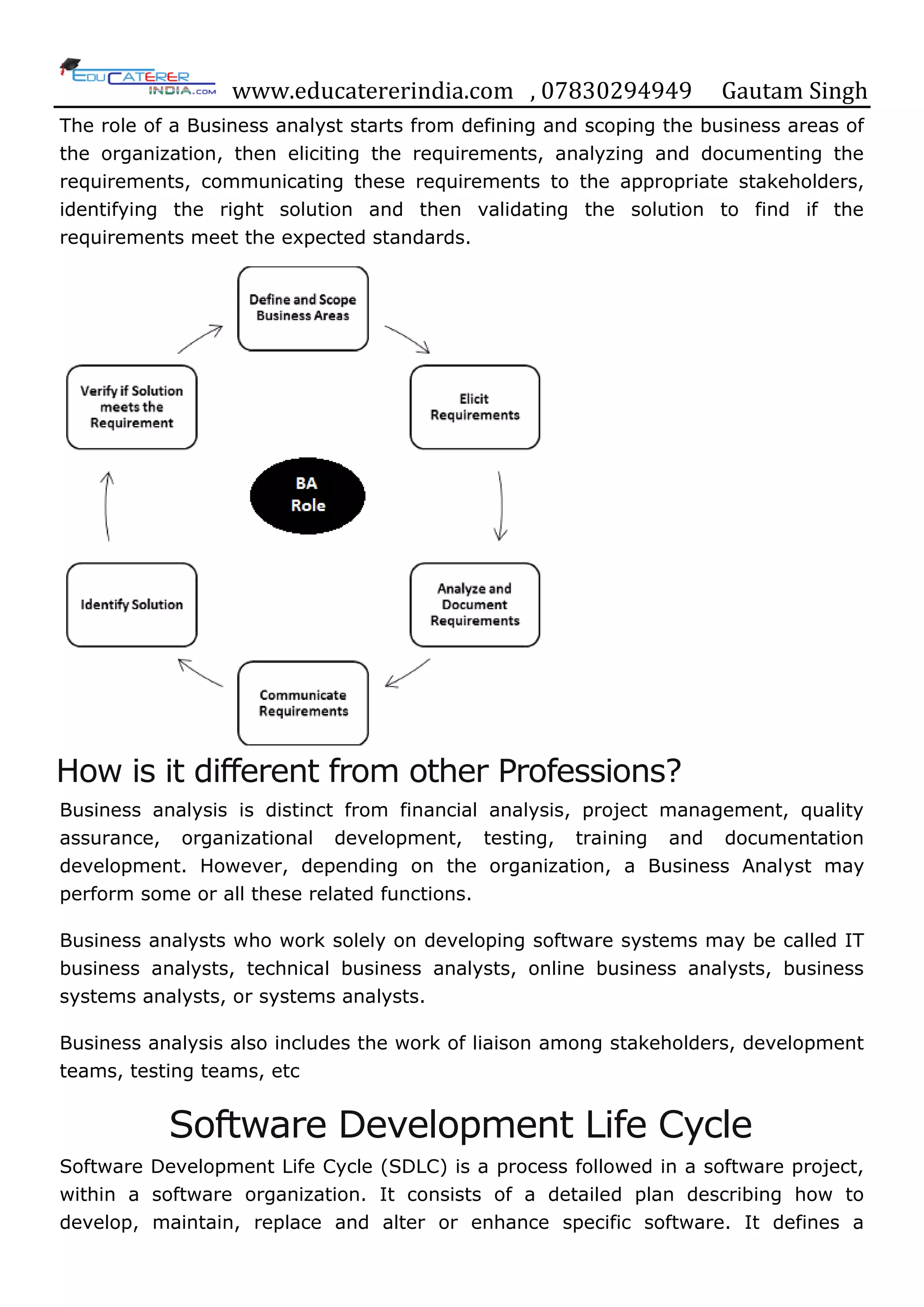 Business analysis | PDF