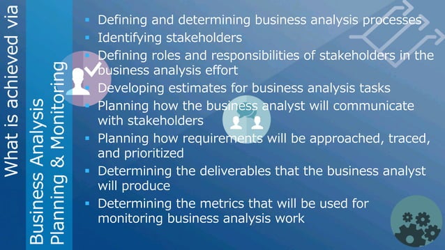 BABoK V2 Business Analysis Planning and Monitoring (BAPM) | PDF ...