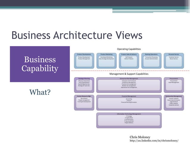 Business Architecture: Overview | PDF | Business Administration | Business