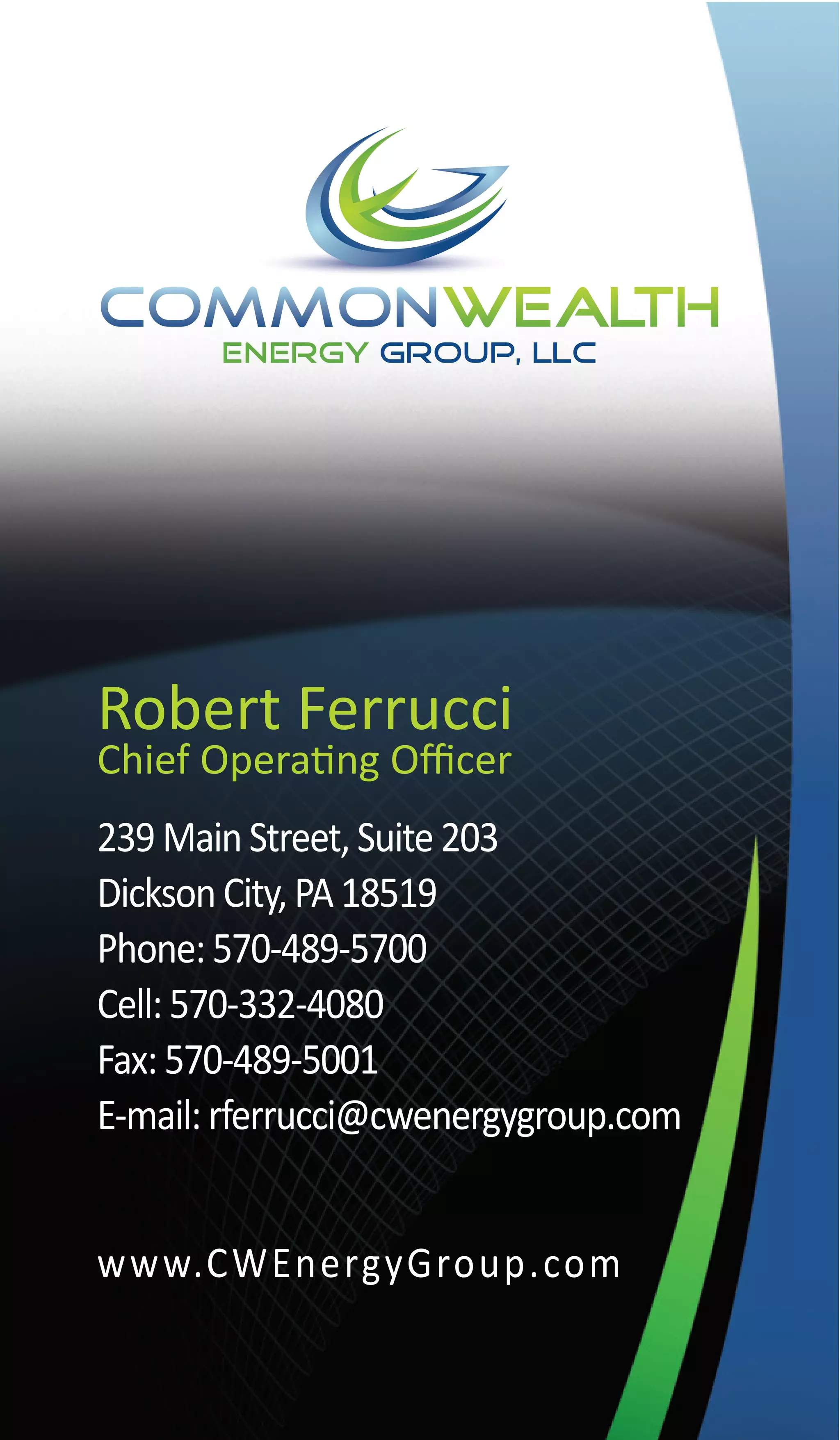 Business Card Robert Ferrucci | PDF