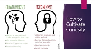 Business case for curiosity | PPTX