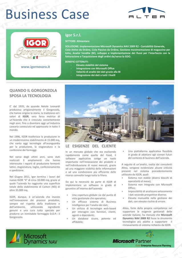 ALTEA MICROSOFT Business Case IGOR for ERP | PDF | Computer Software ...