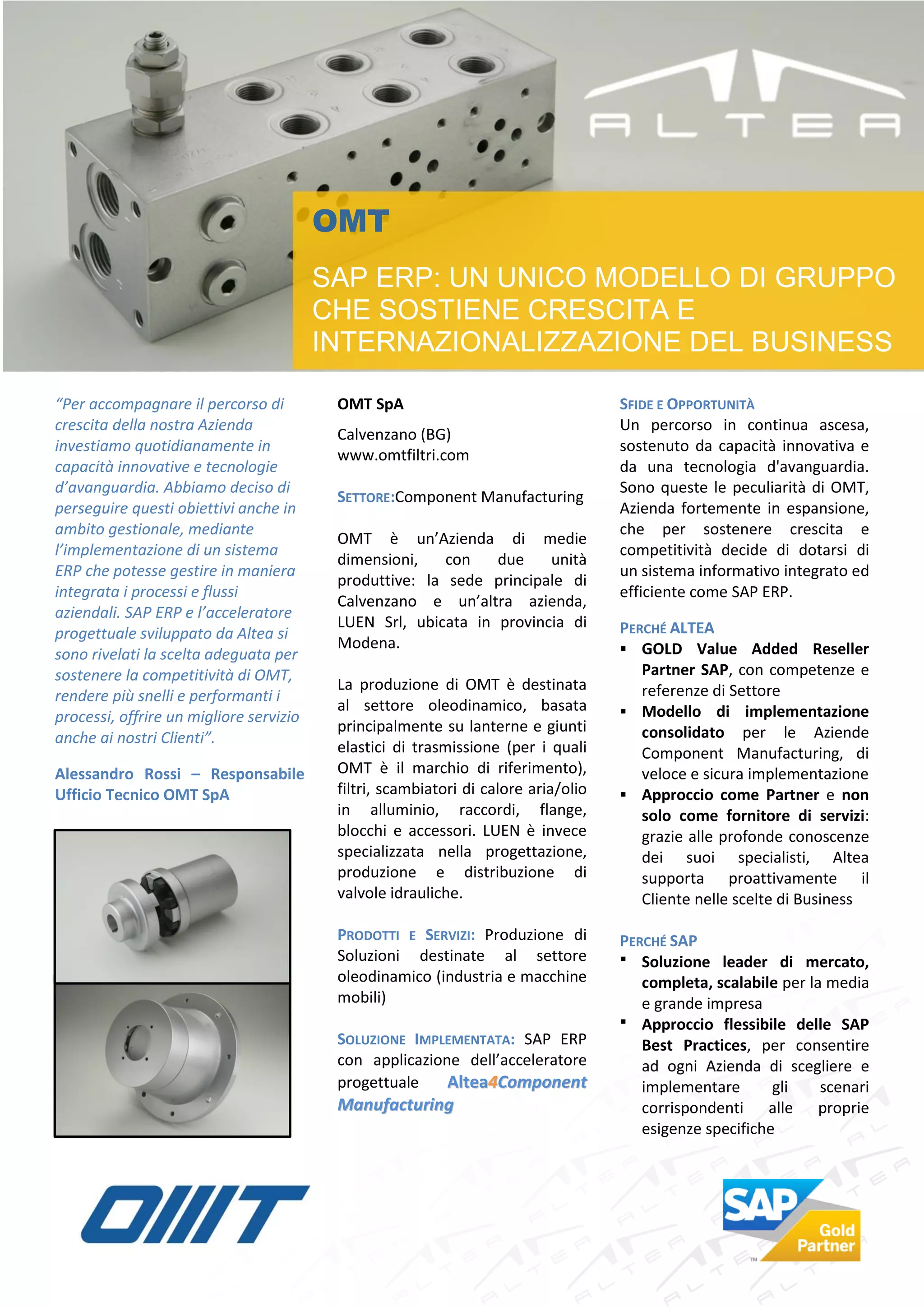 Business Case SAP ERP: OMT SpA | PDF