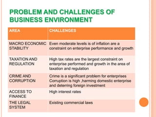 Business environment | PPTX