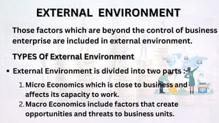 BUSINESS ENVIRONMENT.pdf | Green Solutions | Business