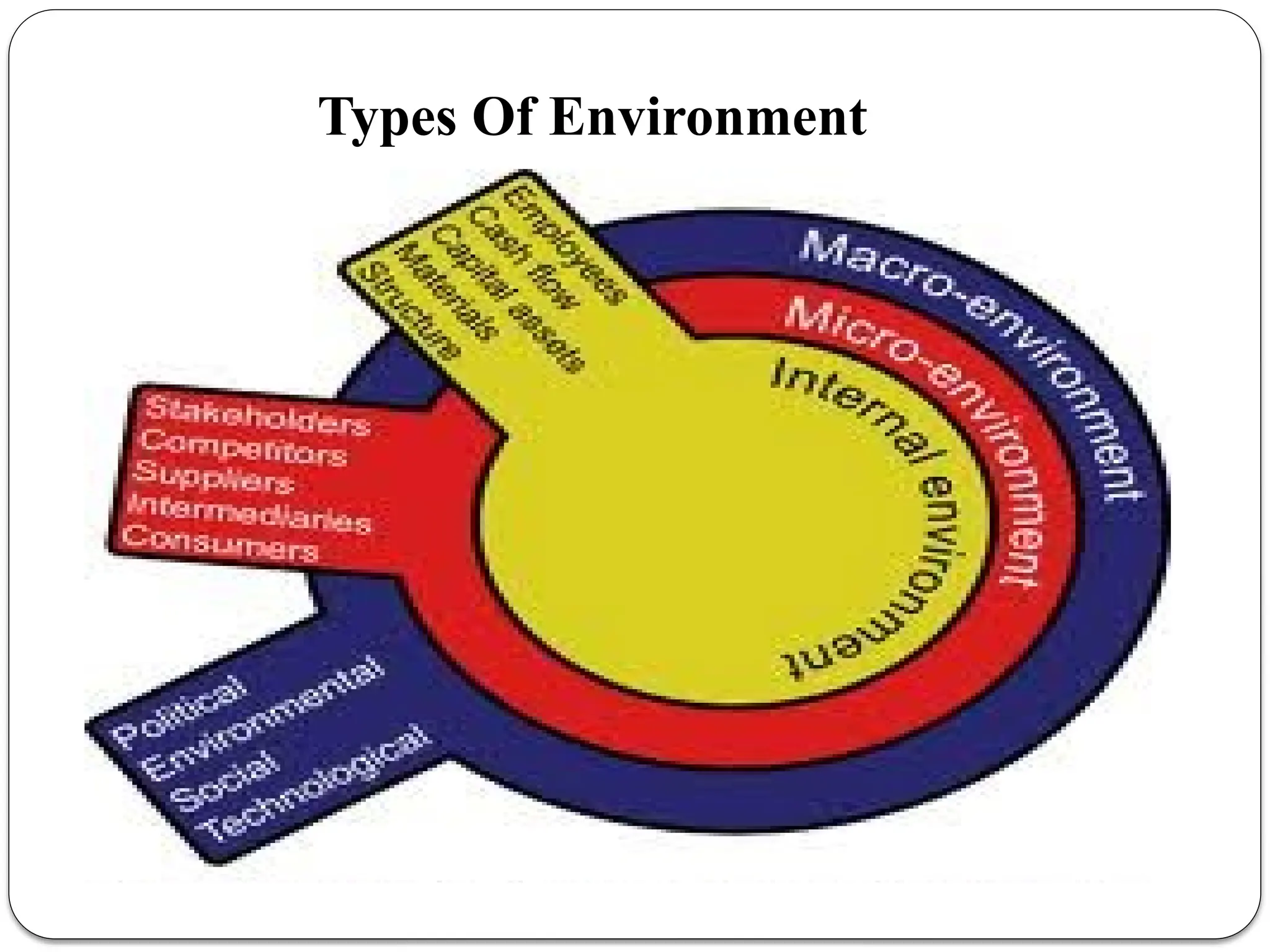 Business Environment - micro and macro level | PPTX