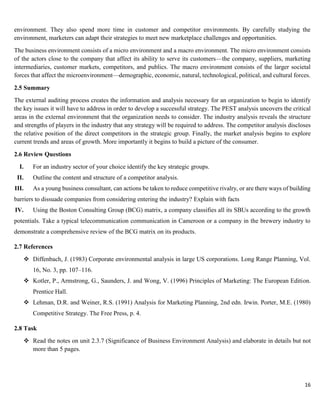 Business Environment Analysis | PDF