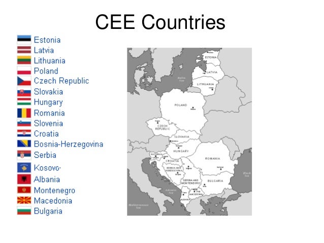 Business Environment in Central and Eastern Europe