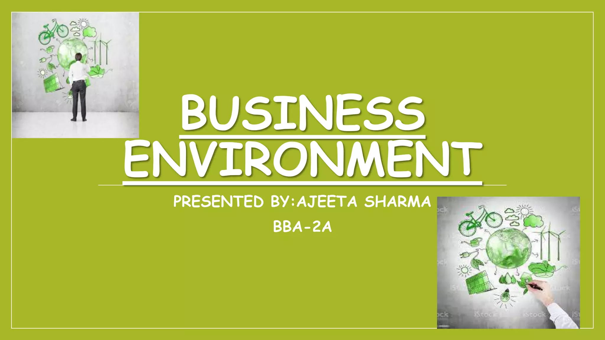 business environment ppt.pptx
