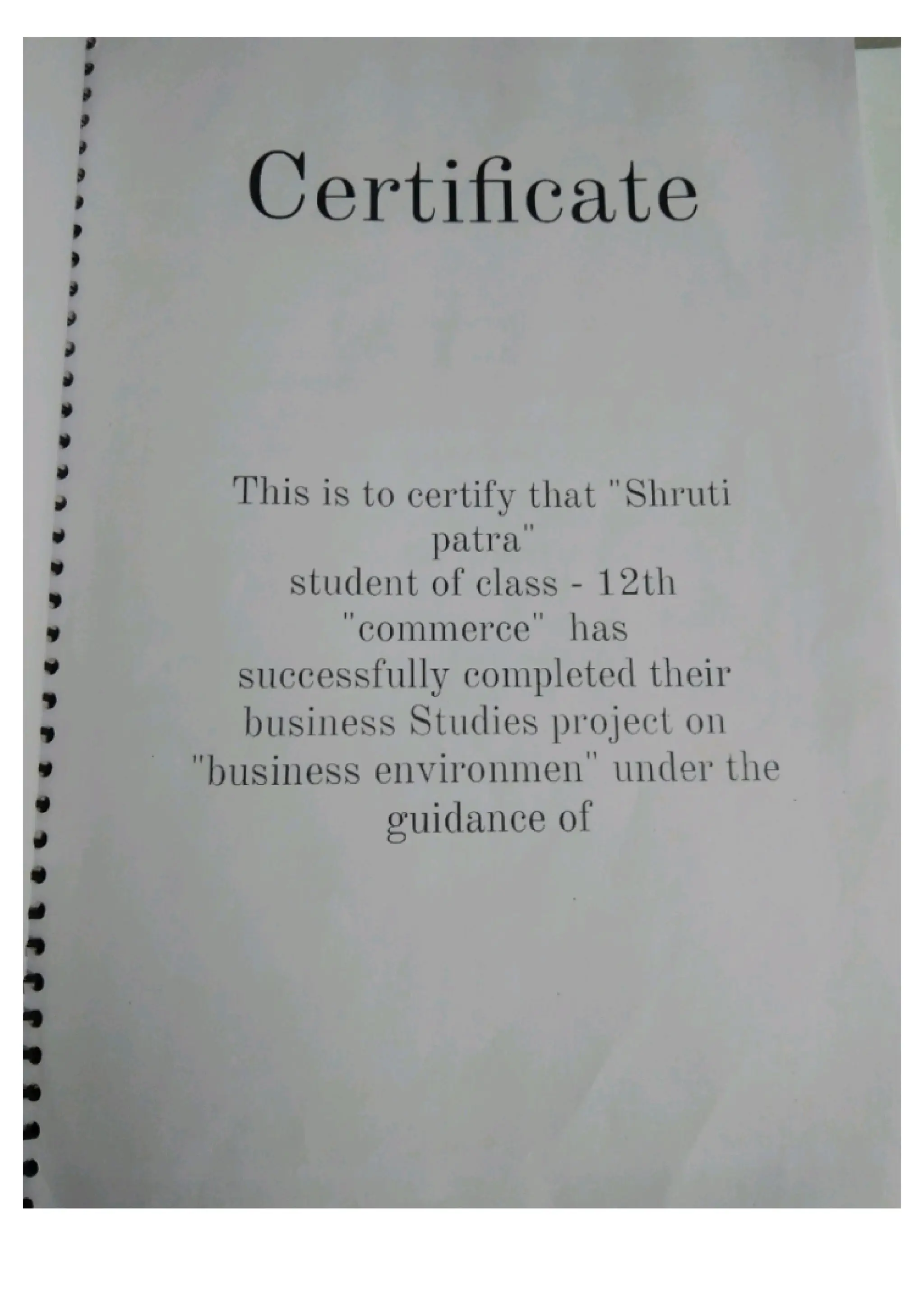 business environment project class 12th CBSC | PDF