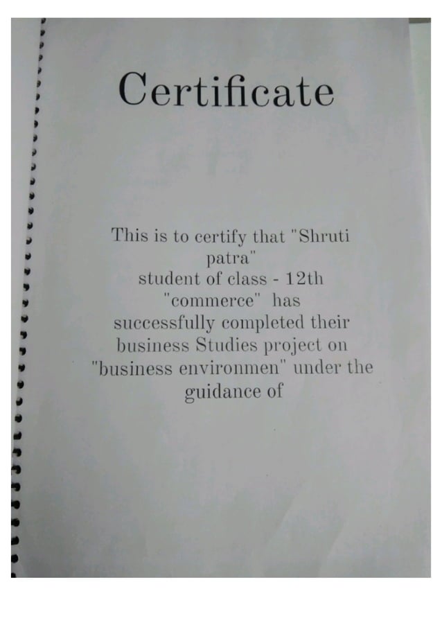 business environment project class 12th CBSC | PDF