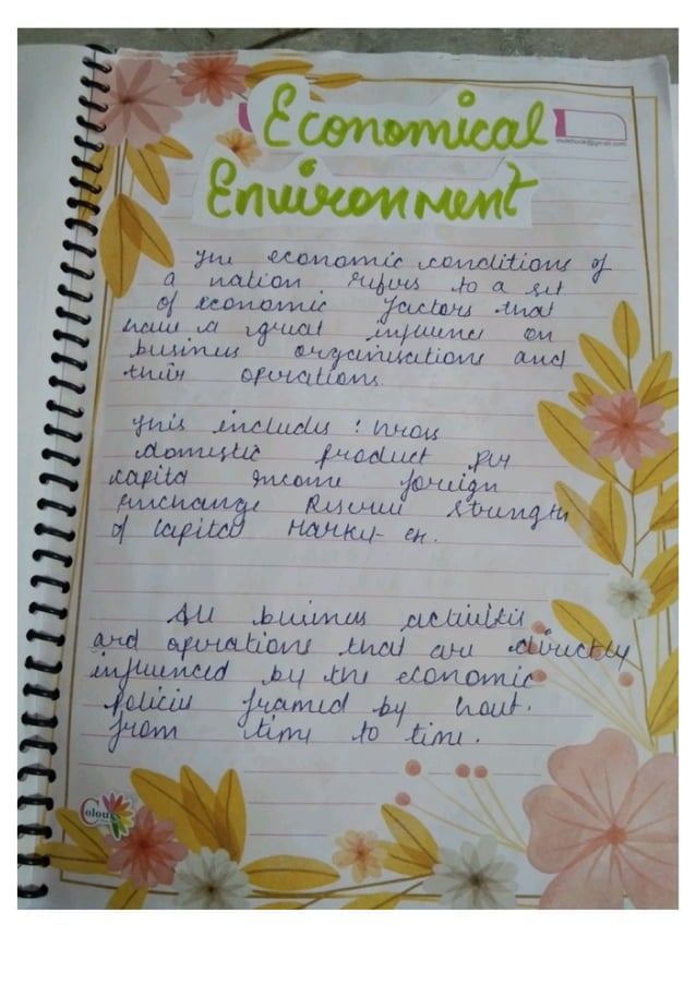 business environment project class 12th CBSC | PDF