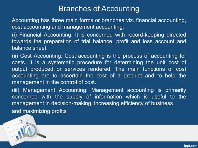 Business Function Accounting & Auditing.pptx