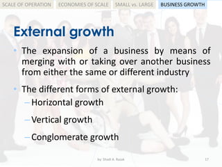 Business Growth | PDF | Small and Medium-sized Business | Business