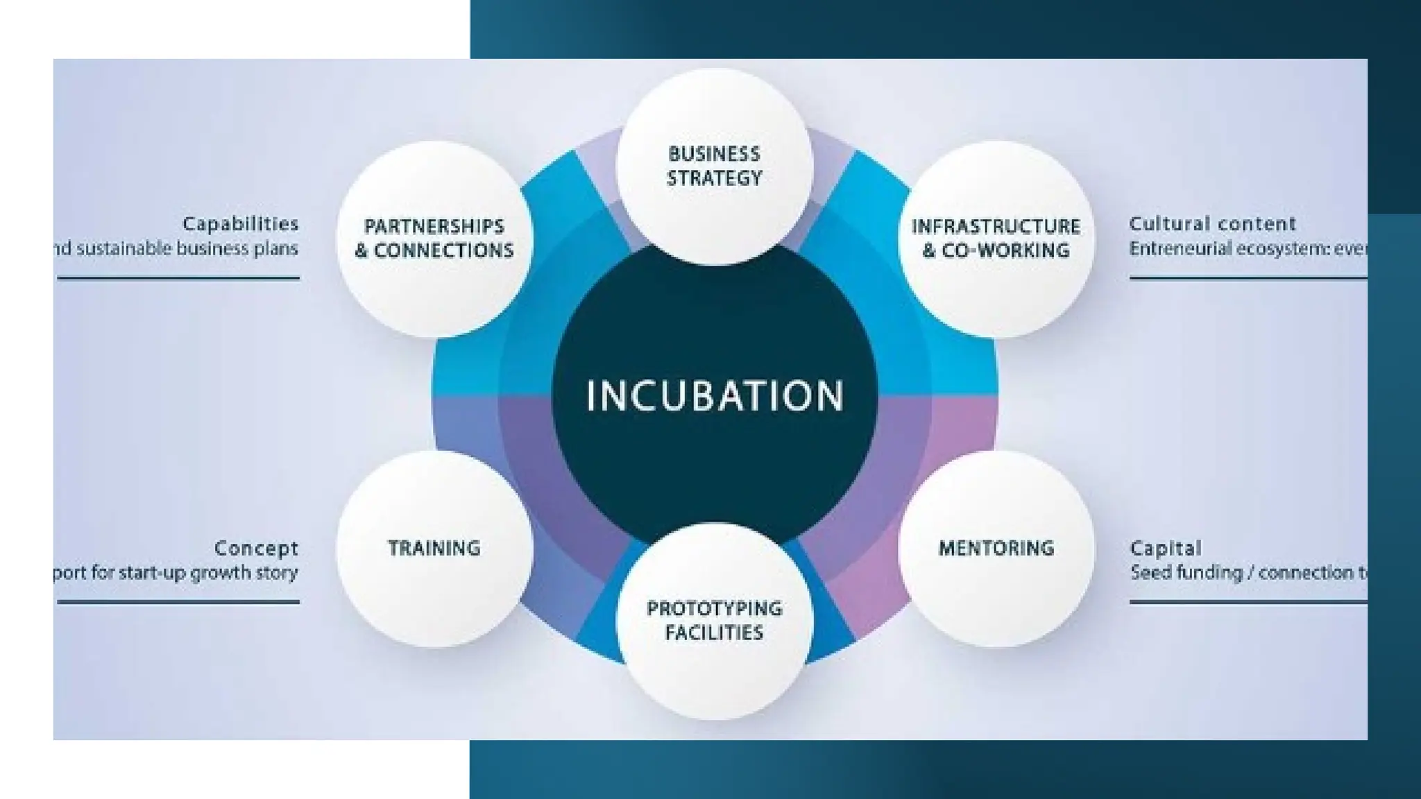 Business Incubators: Nurturing Start ups | PPT | Free Download Business Incubators: Nurturing Start ups | PPT | Free Download