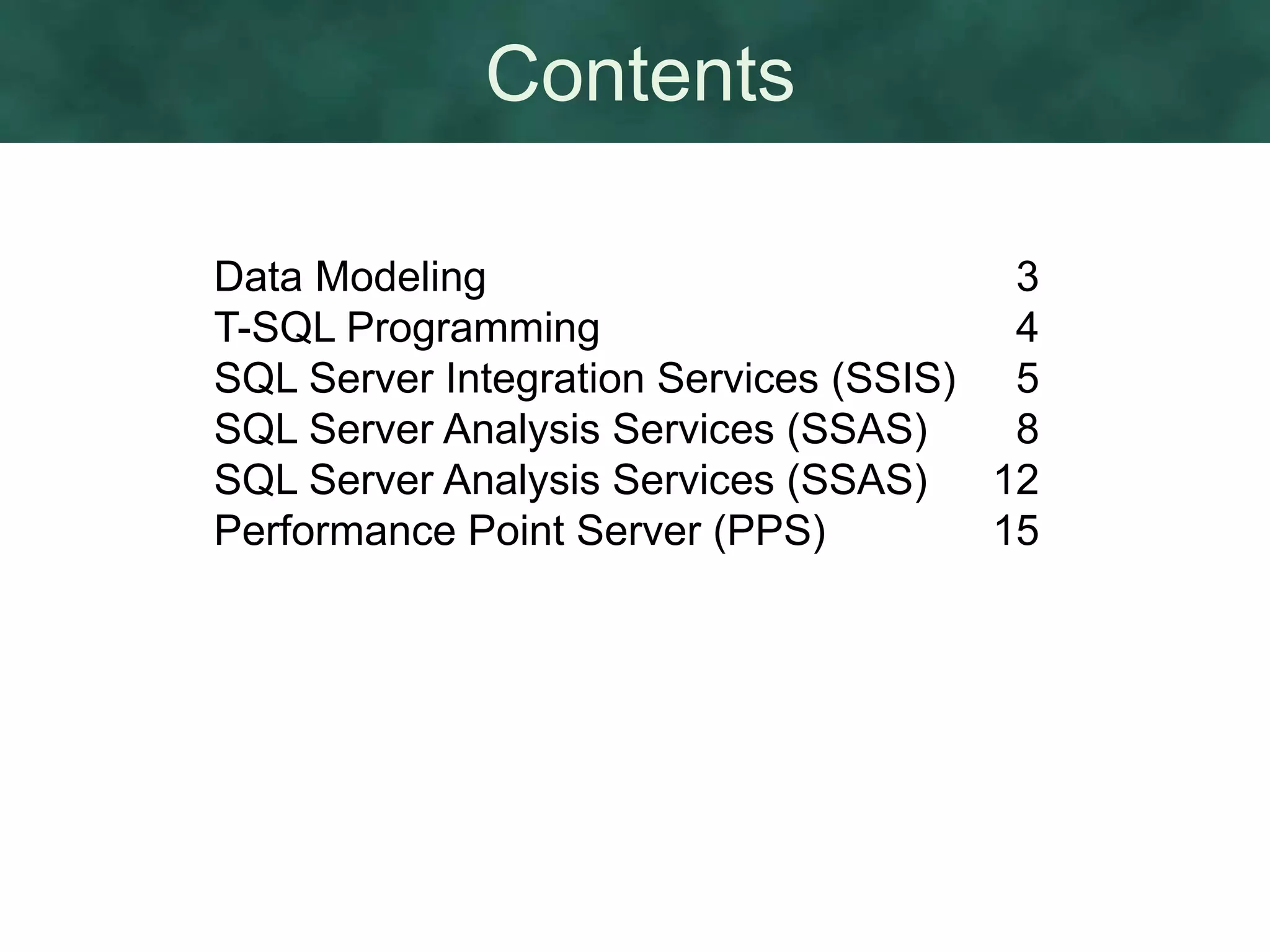 Business Intelligence Portfolio | PPTX