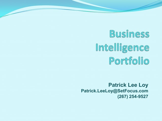 Business Intelligence Portfolio | PPTX | Databases | Computer Software ...